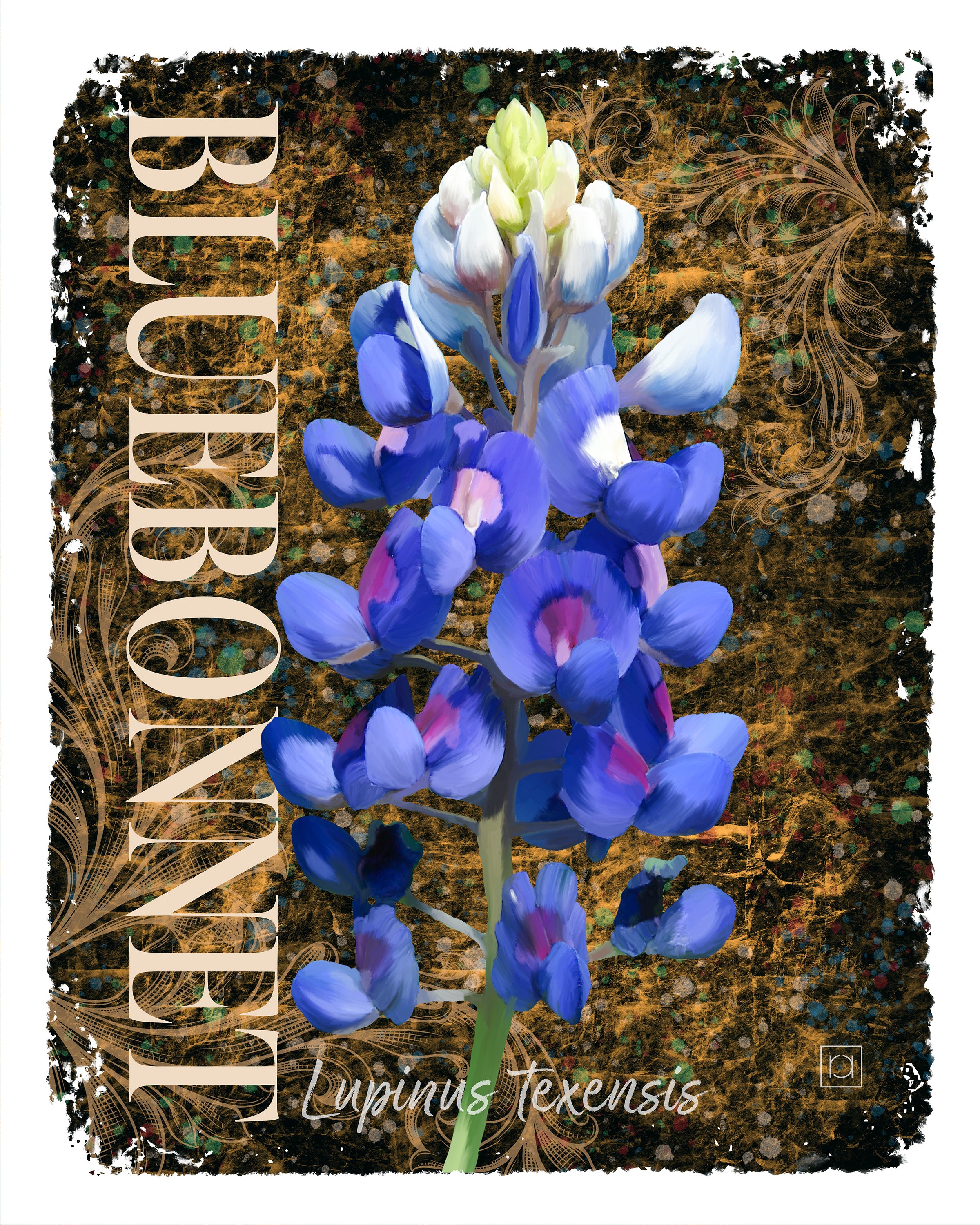Bluebonnet – Endeavor2Draw